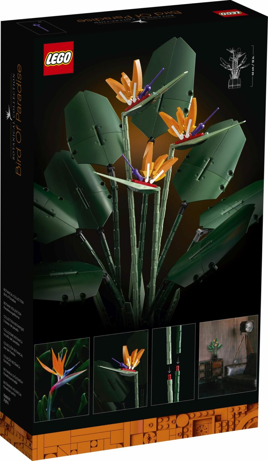 Strelicja królewska w kolekcji botanicznej LEGO®! - FanKlocków.pl